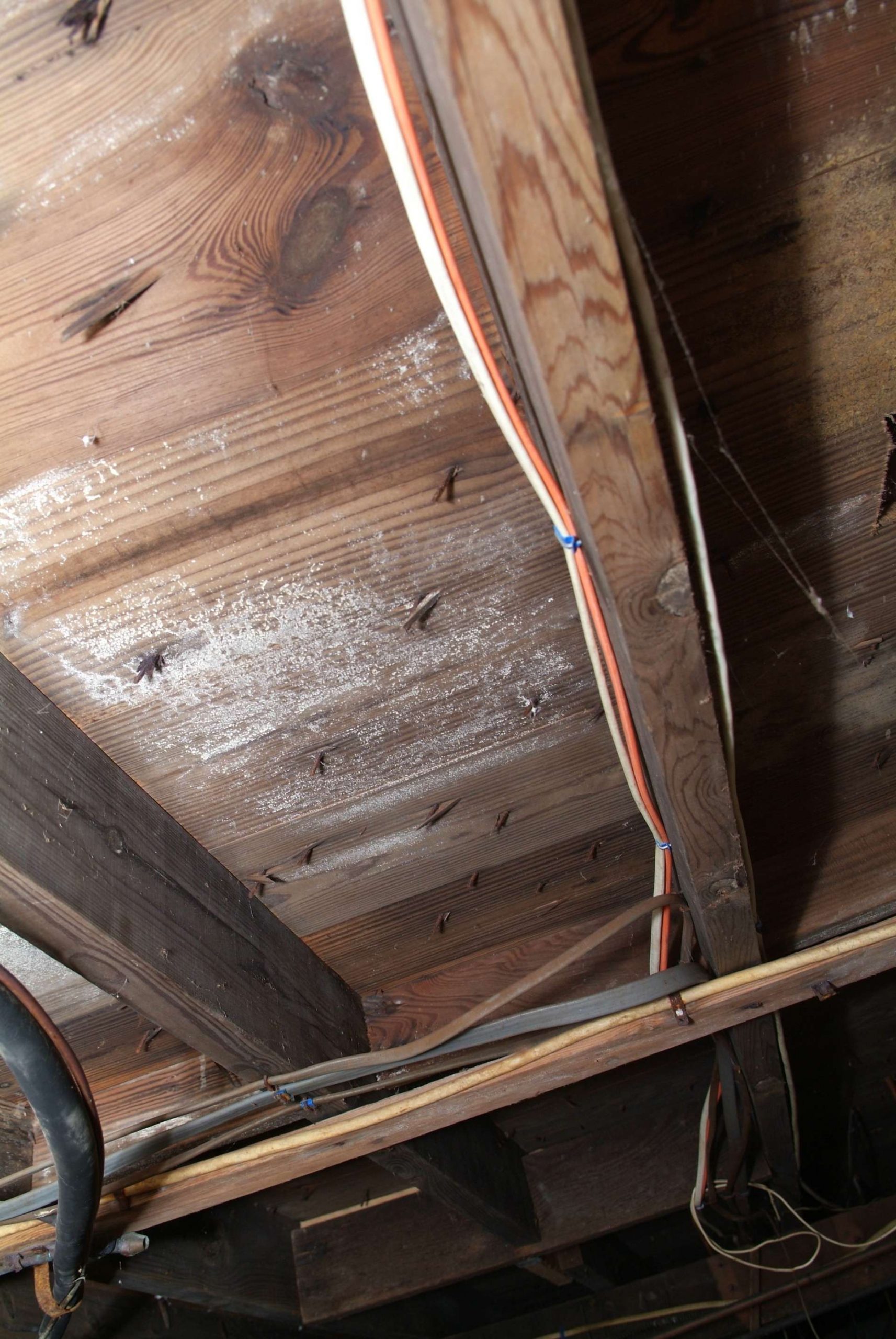 Crawl Space Encapsulation Knoxville, TN